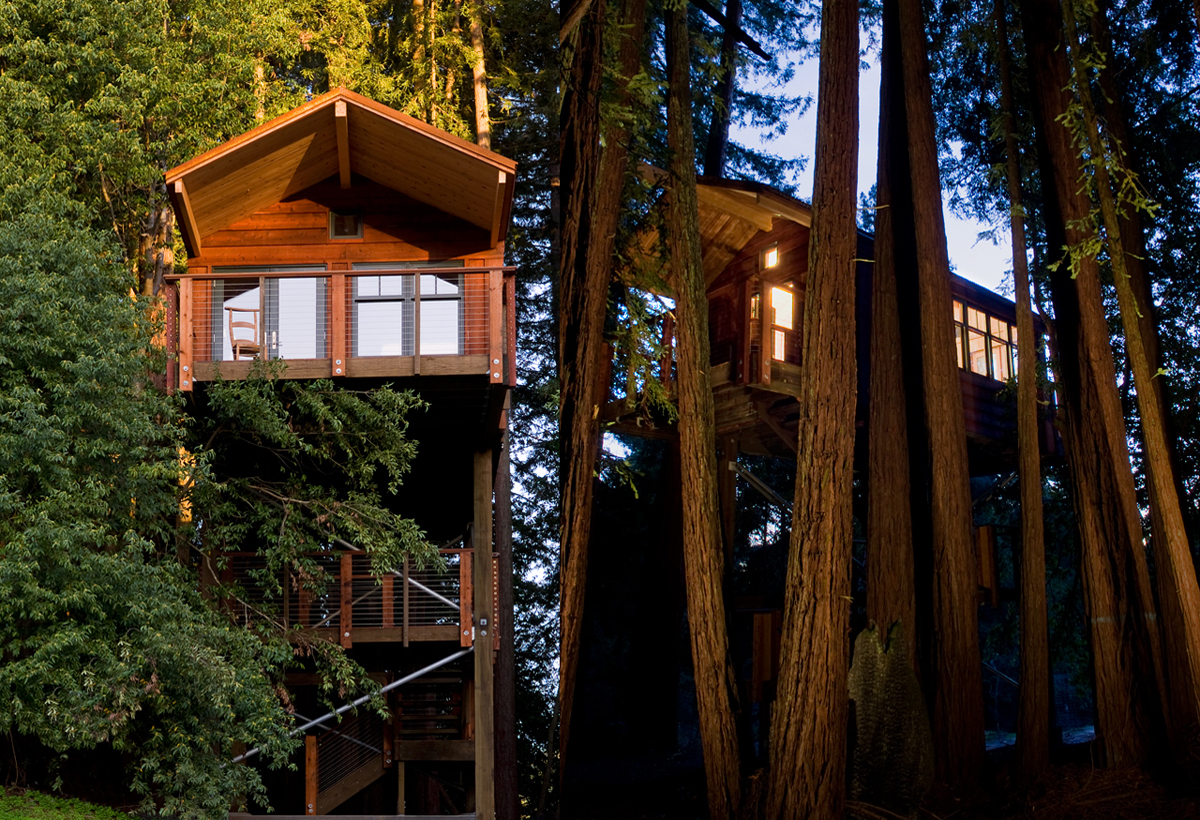 House of Tree - WOWHAUS Art and Design